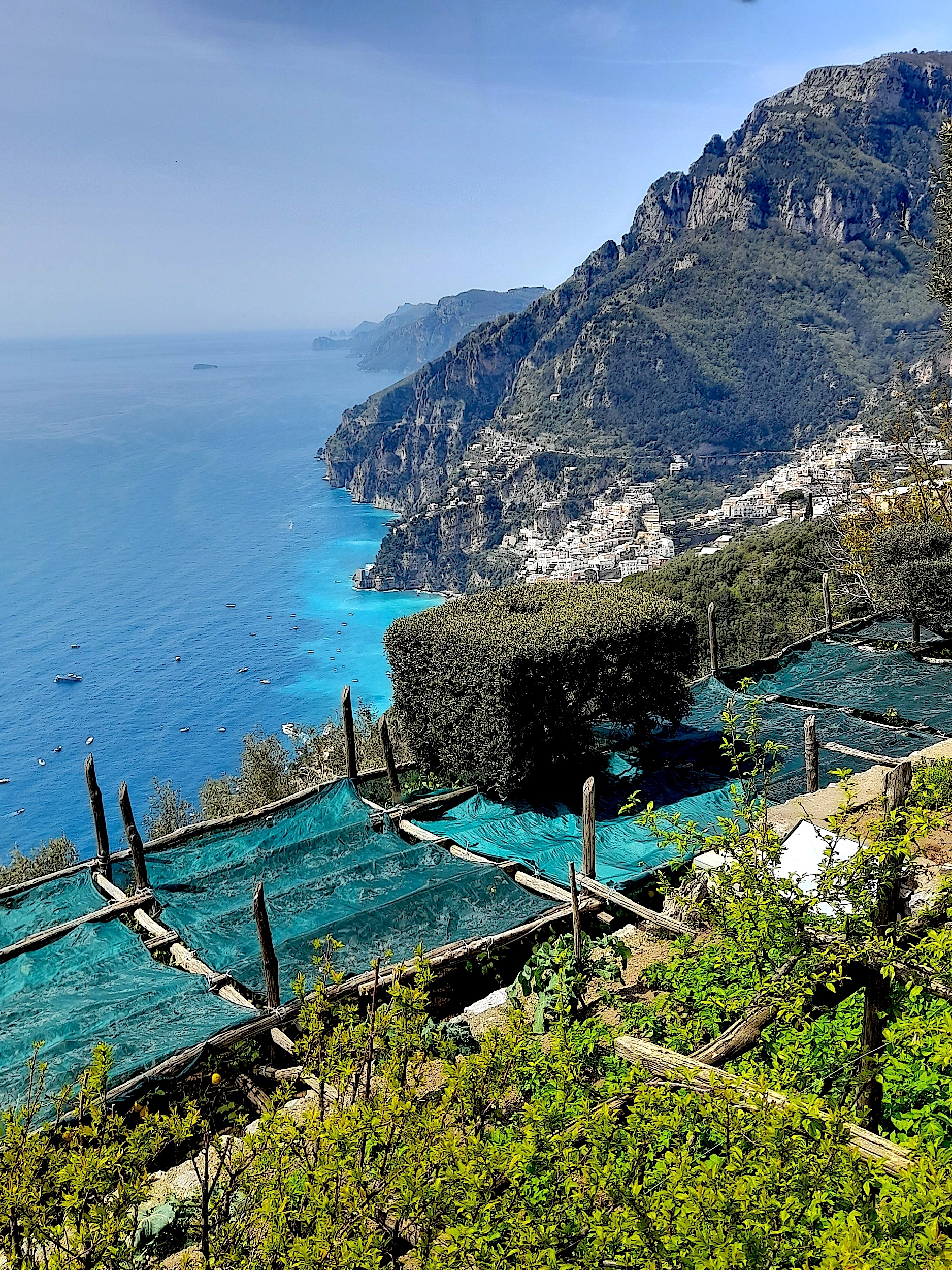Fattoria La Tagliata | Farm to Table Dining in Positano - Our Edible Italy